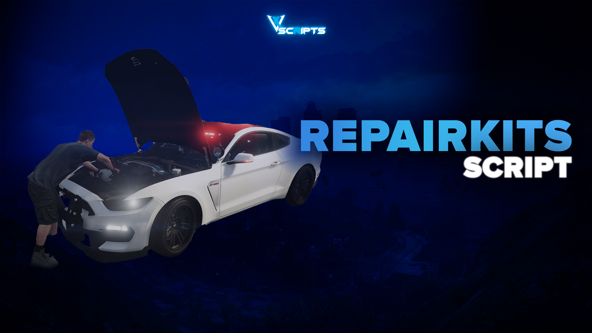 Vertex Scripts | Repair Kits